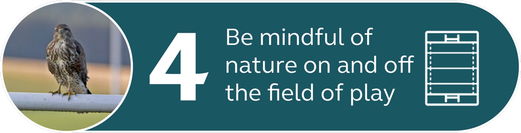 World Rugby | Sports for Nature